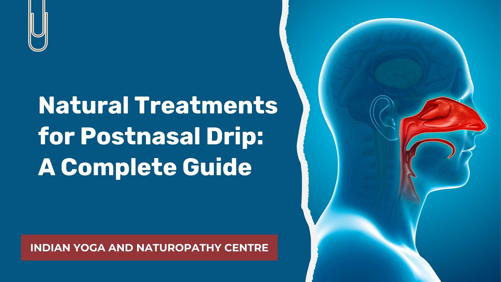 Natural Treatments for Postnasal Drip: A Complete Guide